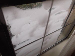 Giveaway!! - Fish Foam Window Cleaner - Dana K. White: A Slob Comes Clean