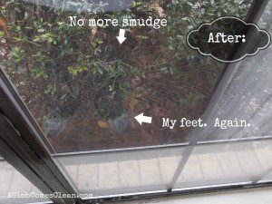 Giveaway!! - Fish Foam Window Cleaner - Dana K. White: A Slob Comes Clean