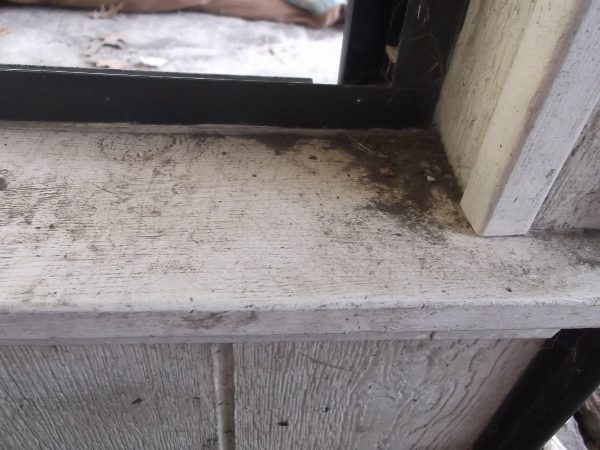 Horrifyingly Dirty Window-Sill Before Picture - Dana K. White: A Slob ...