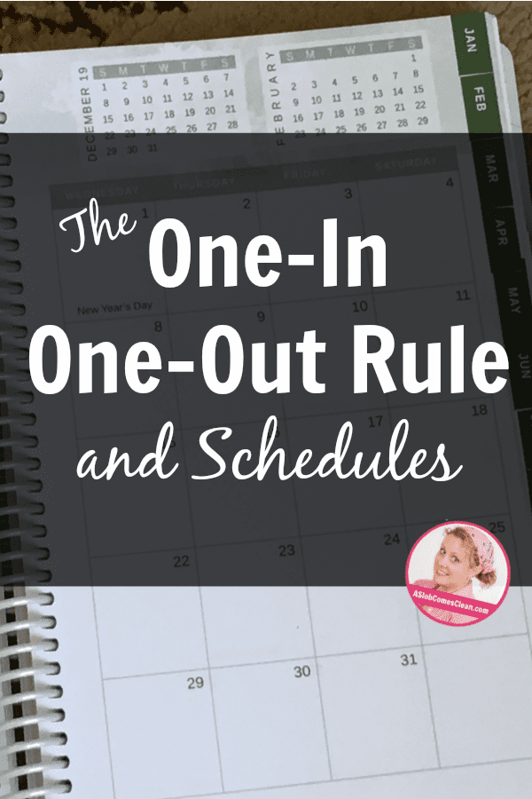 the-one-in-one-out-rule-rule-and-schedules-a-day-is-a-container-at ...