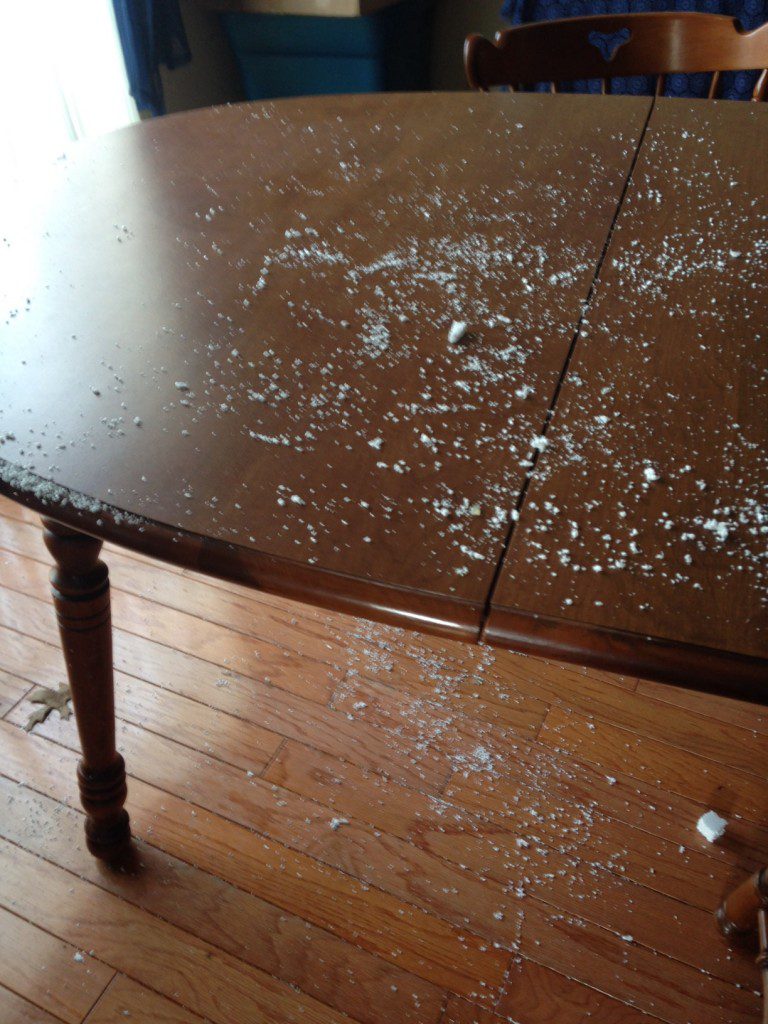 The Day it Snowed Inside My House In Texas - Dana K. White: A Slob ...