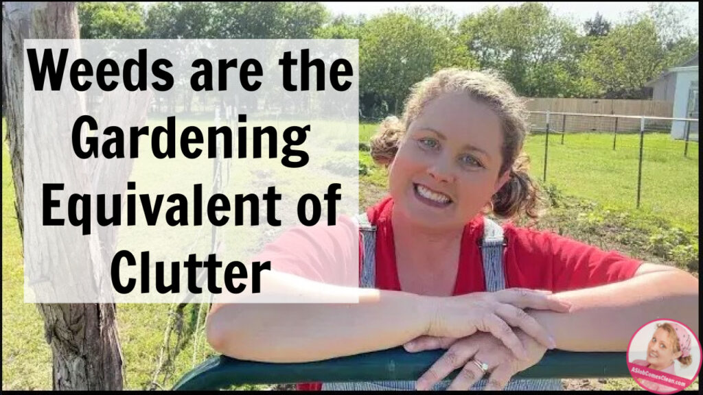 Preventing Weeds (Garden Clutter) with Cardboard - Dana K. White: A ...